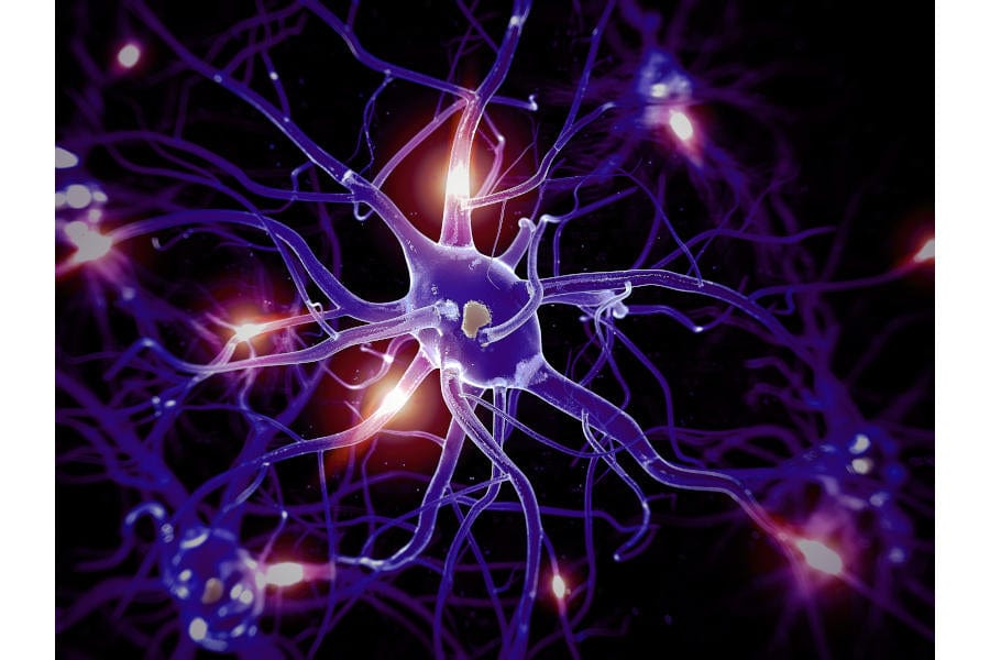 How It Works | Natural Balance Vitamins Online | Balance Supplements ...