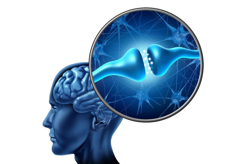 How It Works | Natural Balance Vitamins Online | Balance Supplements ...